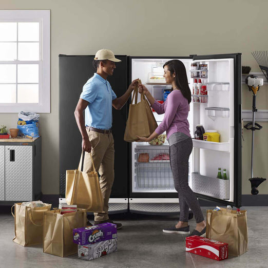 Gladiator GARF30FDGB + GAFZ30FDGB Garage-Ready Refrigerator and Freezer ...